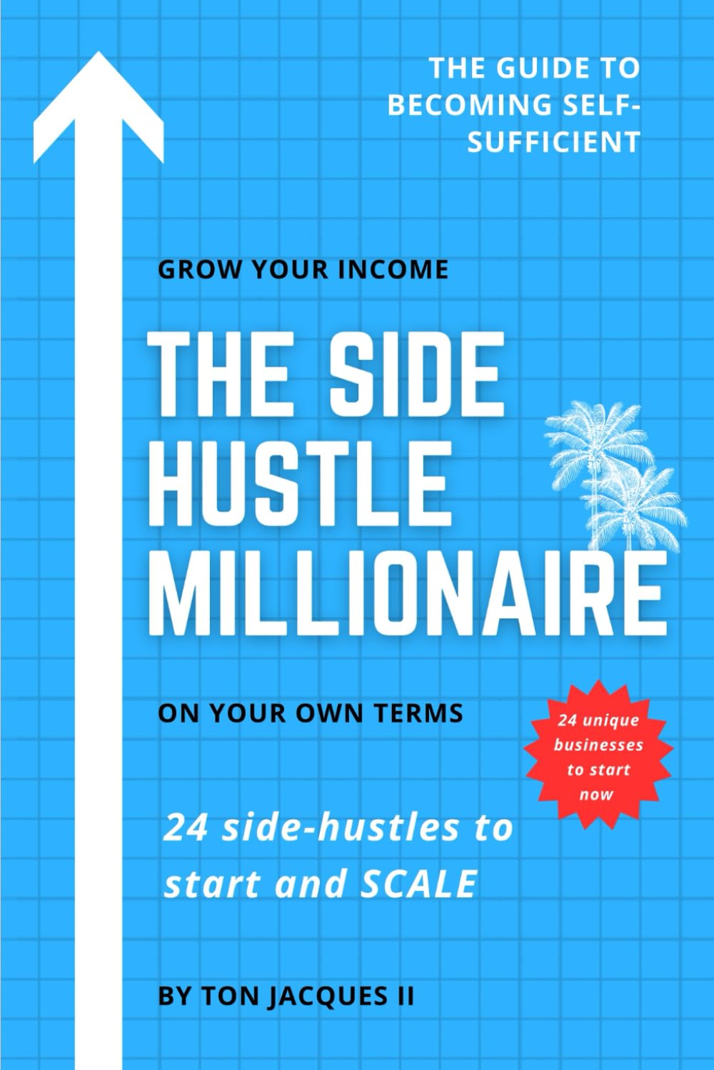 Amazon.com: The Side-Hustle Millionaire: 24 Side-Hustles to Start and ...