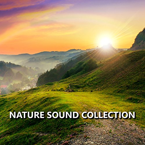 Play Nature Sound Collection by Nature Sound Collection on Amazon Music