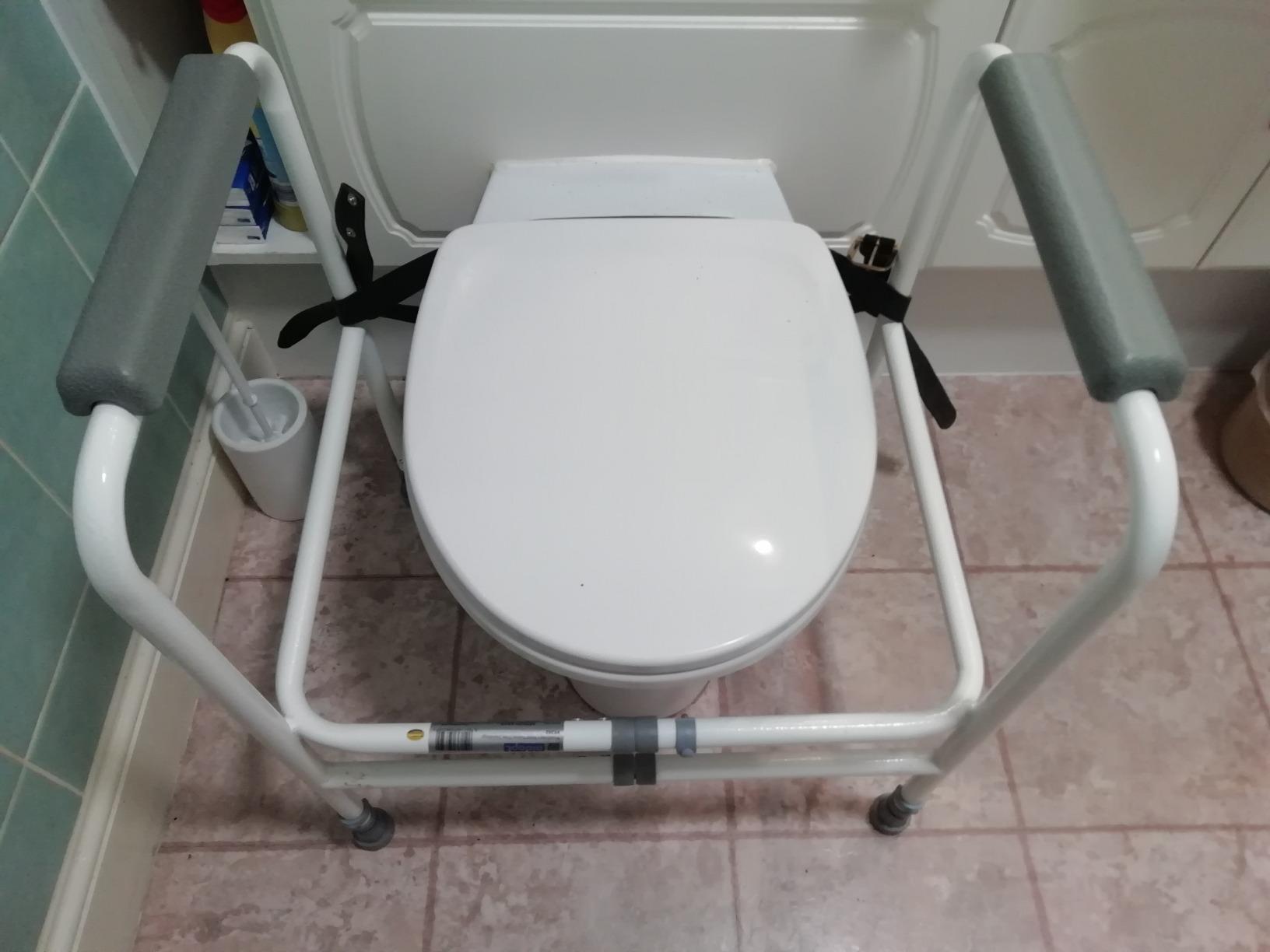 Aidapt Free Standing Support Toilet Safety Frame with Adjustment for ...