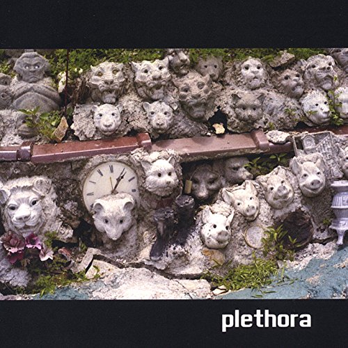 Play Plethora by Plethora on Amazon Music