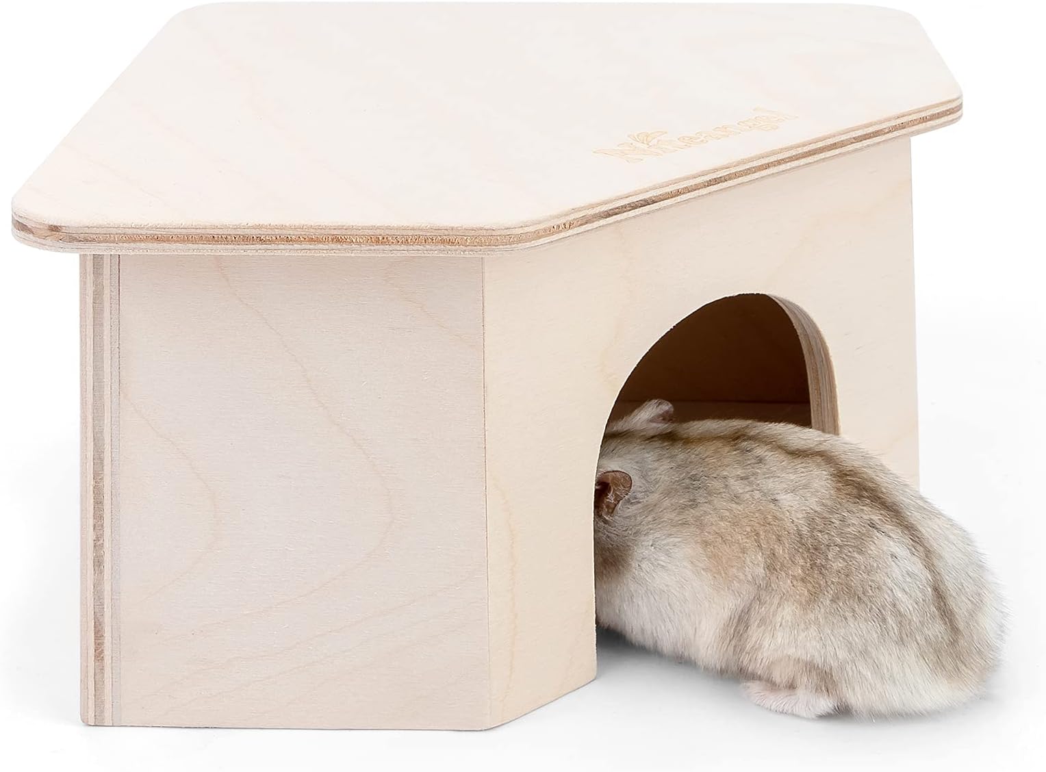 Amazon.com : WEWAYKGJ Hamster Wood House Hideout 2-Chamber Hamster ...