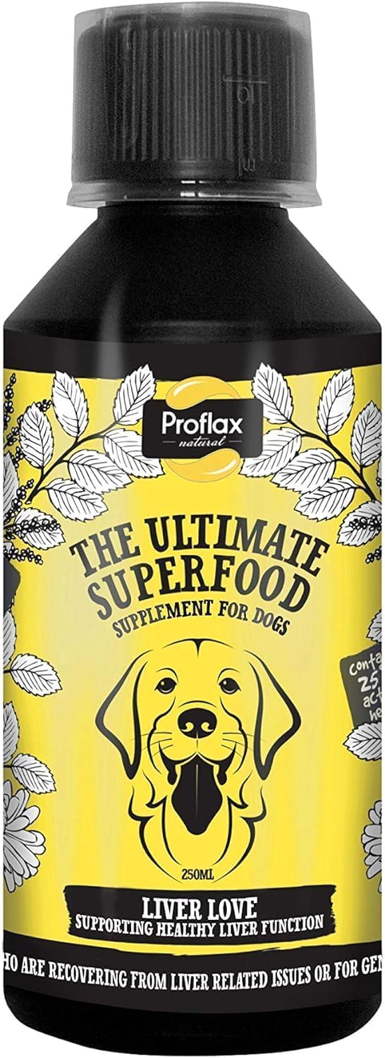 Proflax Natural Liver Love Supplement, 250 ml : Amazon.co.uk: Health ...