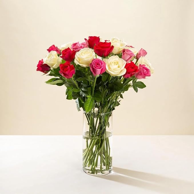 Morrisons Rainbow Roses : Amazon.co.uk: Garden
