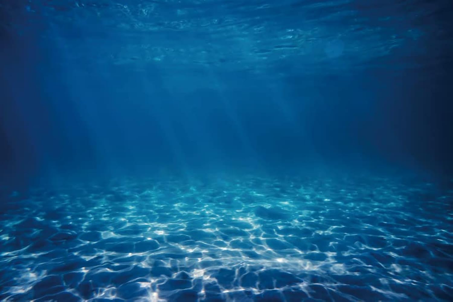 Amazon.com : Yeele 6x4ft Deep Ocean Backdrop Party Decor Thin Vinyl ...