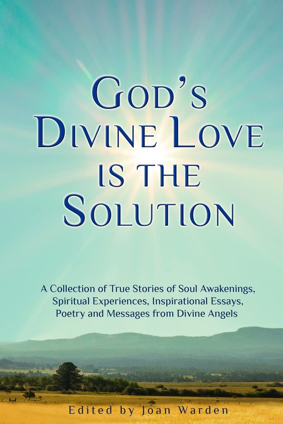 God's Divine Love is the Solution: Warden, Joan: 9781515230489: Amazon ...
