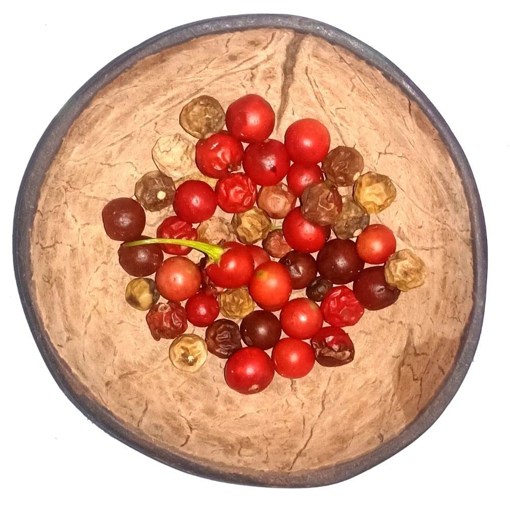 Climbing Brinjal/tutavalam/thuthuvalai/Solanum trilobatum Medical Plant ...