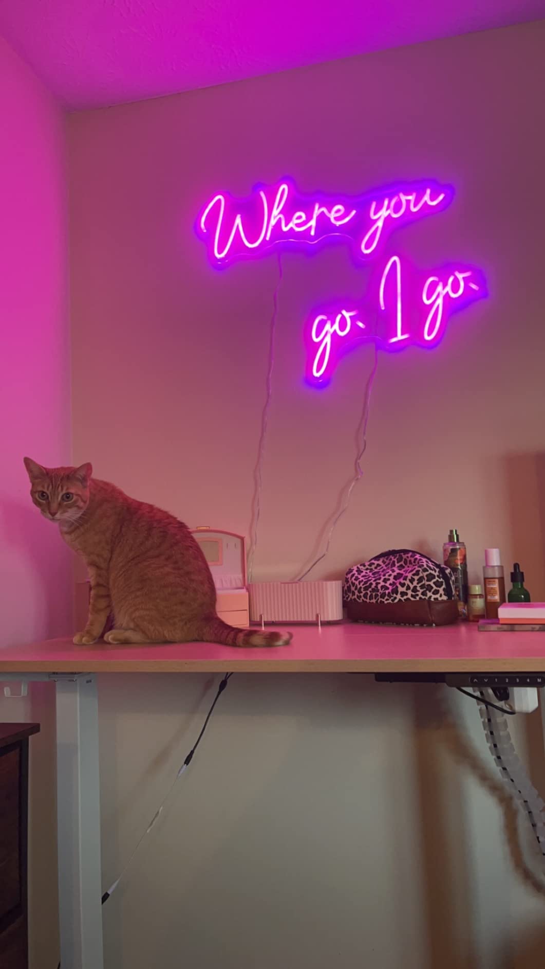 Amazon.com: cheertech Electric Height Adjustable Standing Desk ...