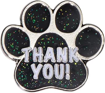 Amazon.com: Anderson's Appreciation Award Glitter Pin Packs, Lapel Pins ...