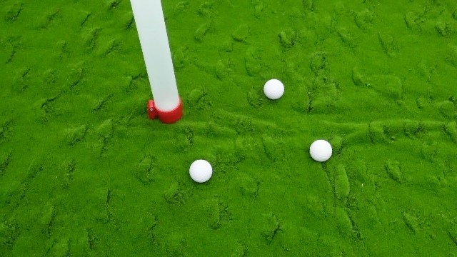 Watch 2 Pieces Golf Ball Picker Plastic Tube Ball on Amazon Live