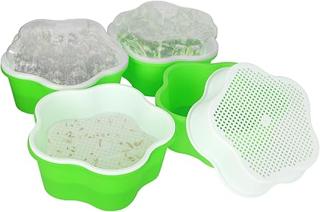 Set of 4 germination trays for sprouts, sprouts growing set, sprout ...