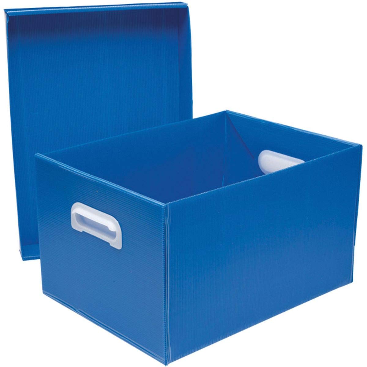 Caixa Organizadora The Best Box G 437x310x240 Azul - 01 Unidade ...