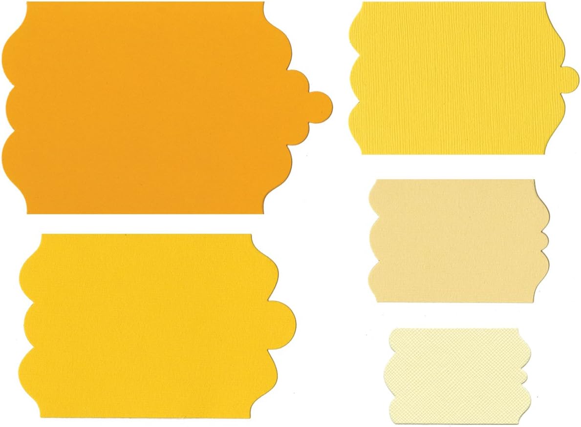 Amazon.com: Sizzix Framelits Dies, Fancy Tags, 5-Pack