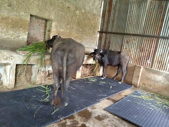 WONDER PLUS | Orignal Black Colour Cow MAT| Cow MAT for Cow Bull ...