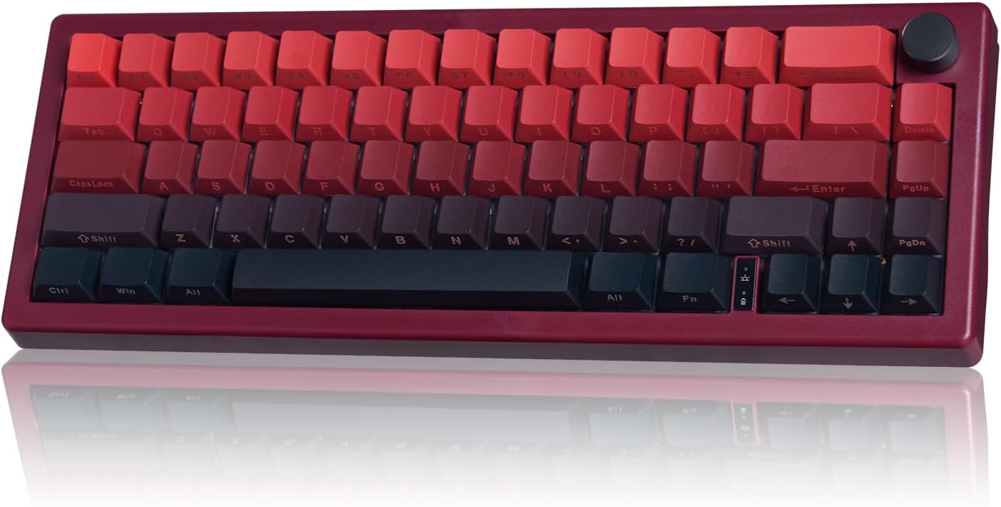 SUEHIODHY GMK67 Backlit Mechanical Keyboard Hot-Swappable Bluetooth/2 ...