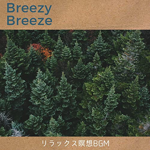 Amazon.co.jp: リラックス瞑想bgm : Breezy Breeze: デジタルミュージック