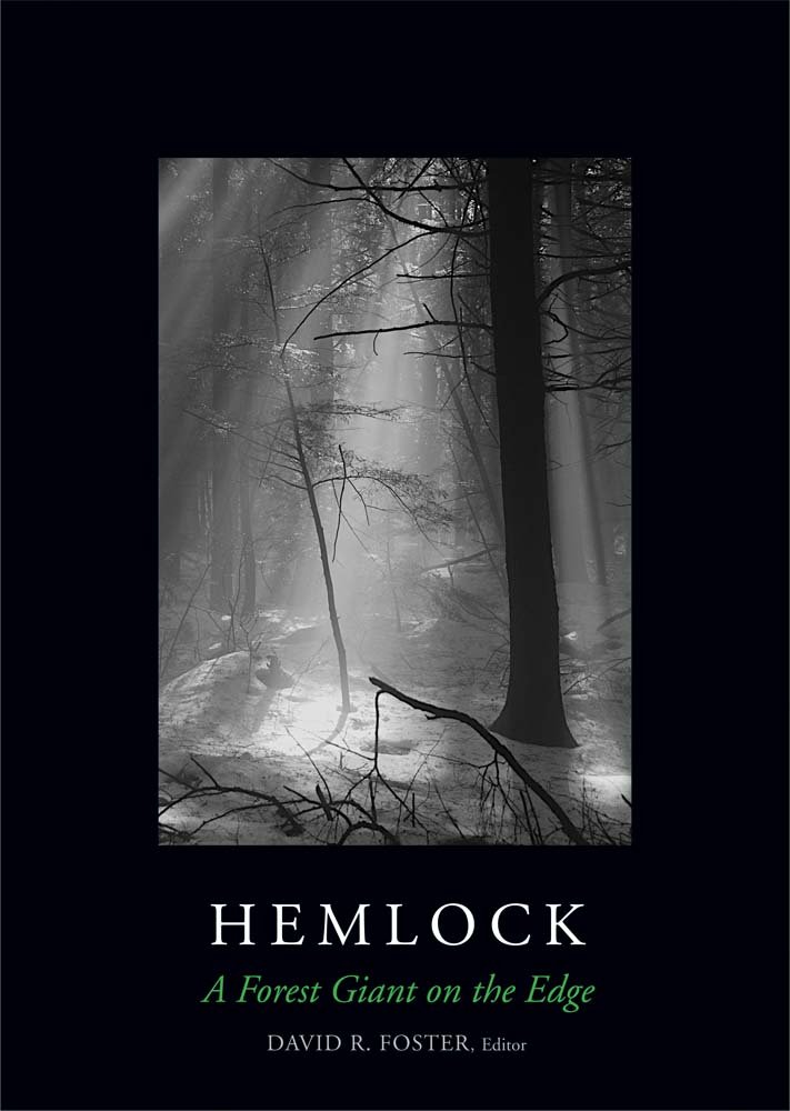 Amazon | Hemlock: A Forest Giant on the Edge | Foster, David R., D ...