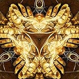 【発売日：2019年07月26日】・製造元:1084929 Records DK