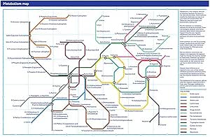 Amazon.com: Metabolism Tube Map Poster - Canvas - Creative Underground ...