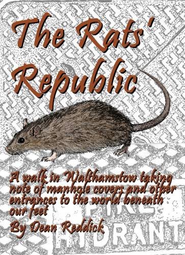 The Rats' Republic: A Walk in Walthamstow Taking Note of Manhole Covers ...