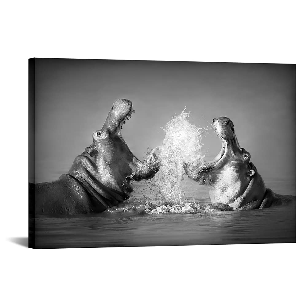 Hippopotamus Black And White