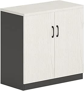 TUBBEK File Cabinet Office with Drawers with Lock Low Cabinet Wooden ...