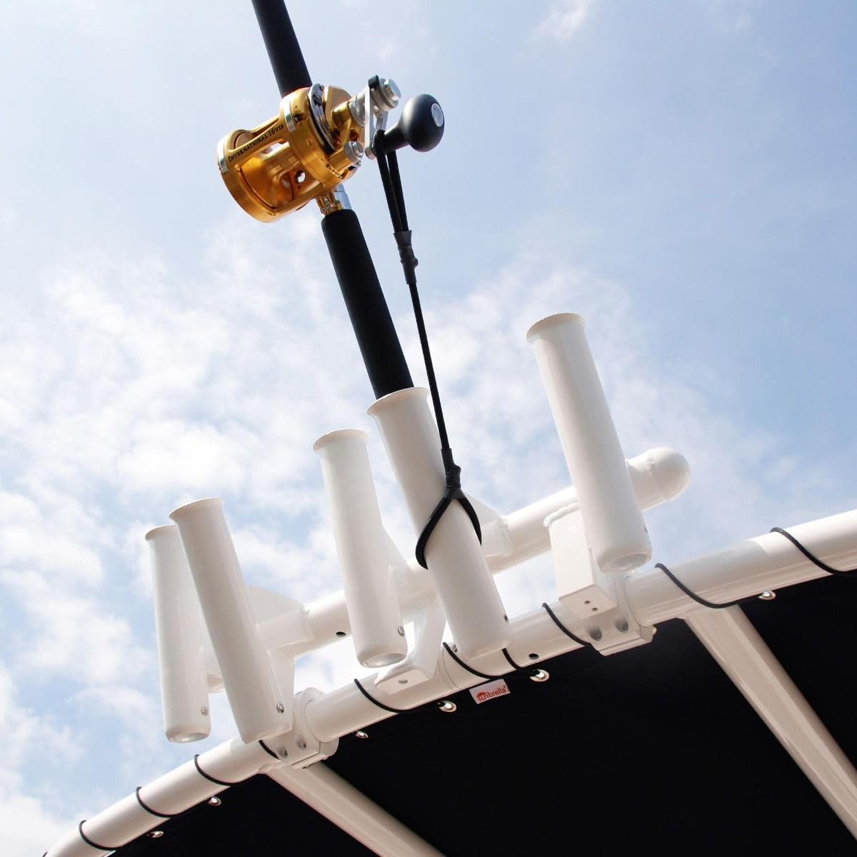 Amazon.com : Fishmaster T-Top Rod and Reel Safety Strap - Bungee Cord ...