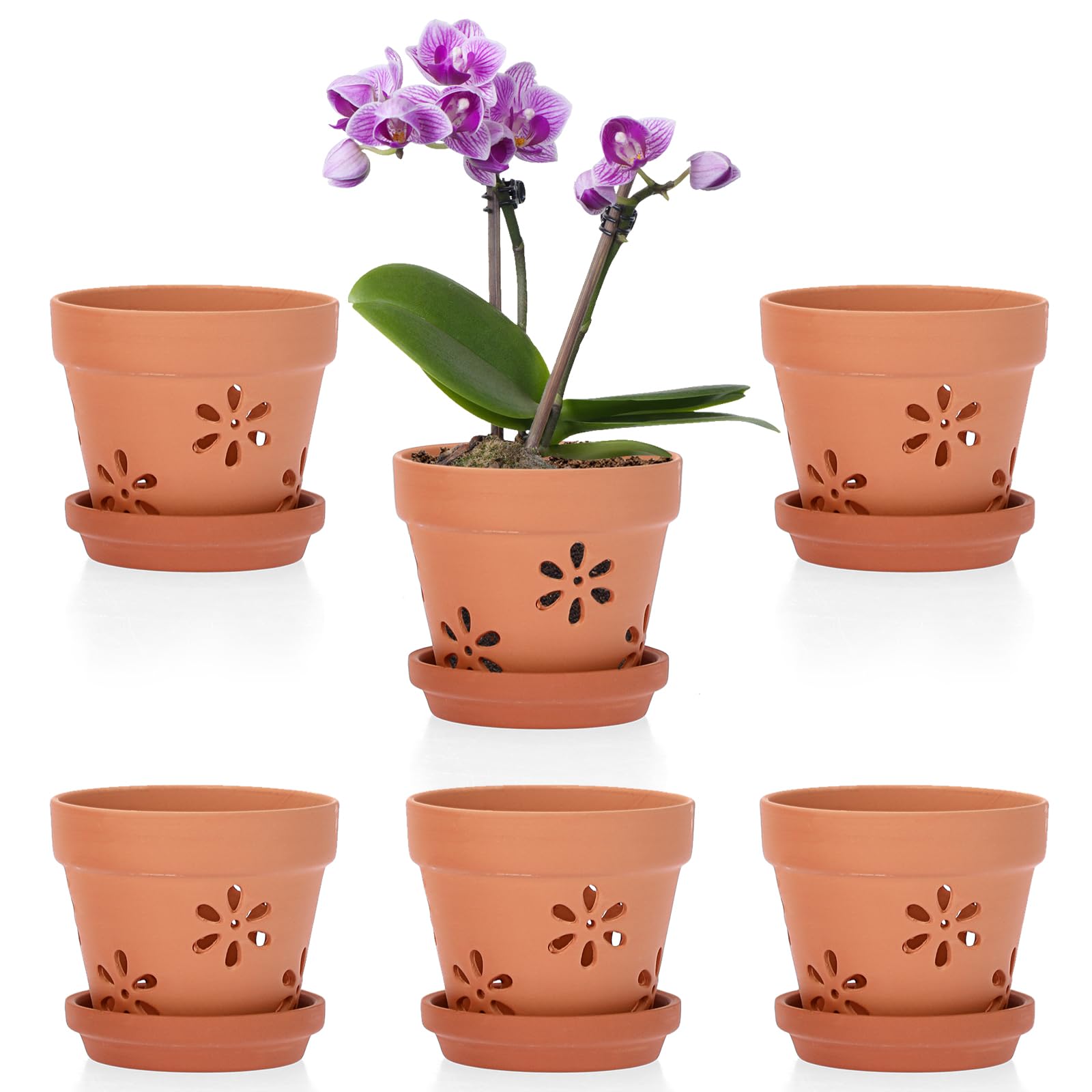 Amazon.com: JUXYES Pack of 6 Small Terracotta Orchid Pots with Holes ...