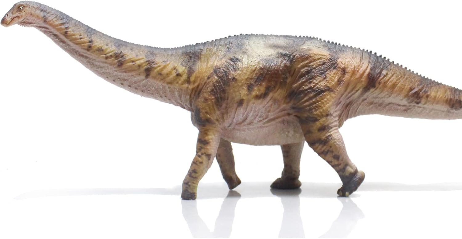 Amazon.com: HAOLONGGOOD New Apatosaurus 1：35 Science and Art Model ...