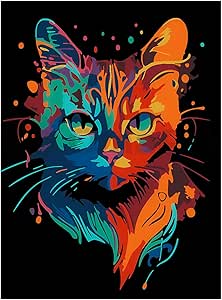 Amazon.com: Omaart Beginner's Paint by Numbers Kit - Framed Canvas ...