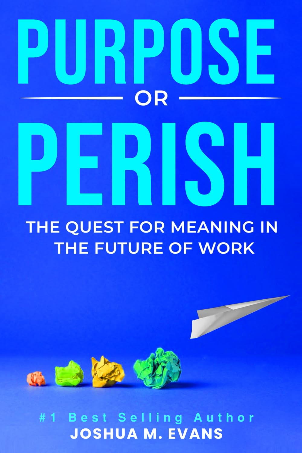 Purpose or Perish: The Quest for Meaning in the Future of Work: Evans ...