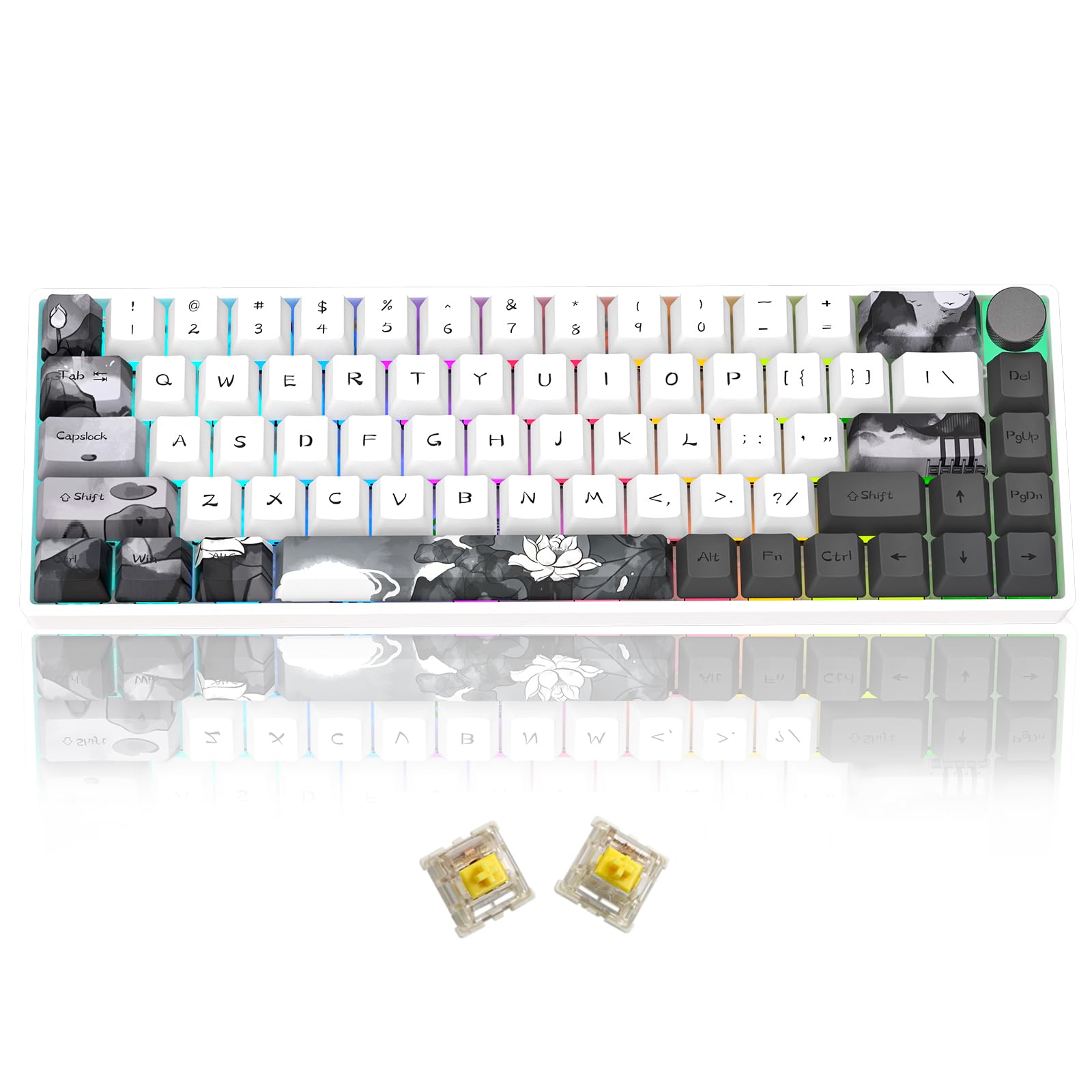 Molgriagk68 68 Key Gaming Keyboard With Rgb Backlight And Ink ...