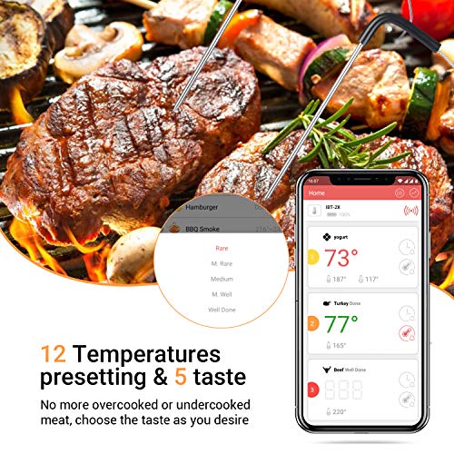 Inkbird IBT-2X Bluetooth Cooking Thermometer Wireless Barbecue BBQ ...