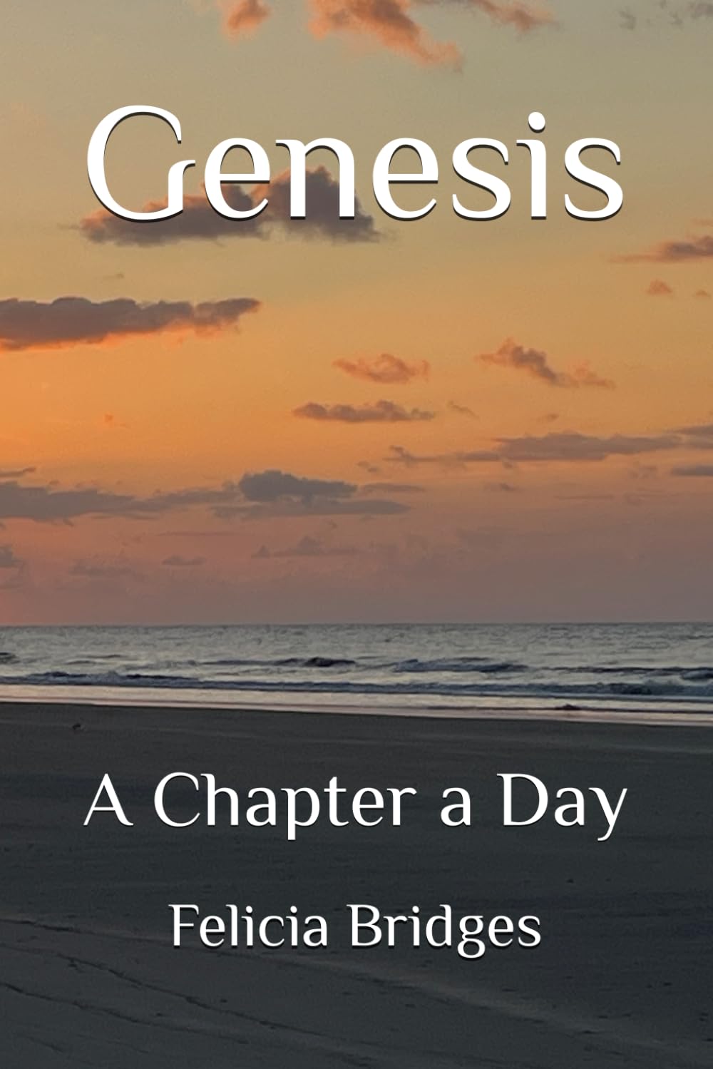 Genesis: A Chapter a Day (The Bible in One Chapter a Day): Bridges ...