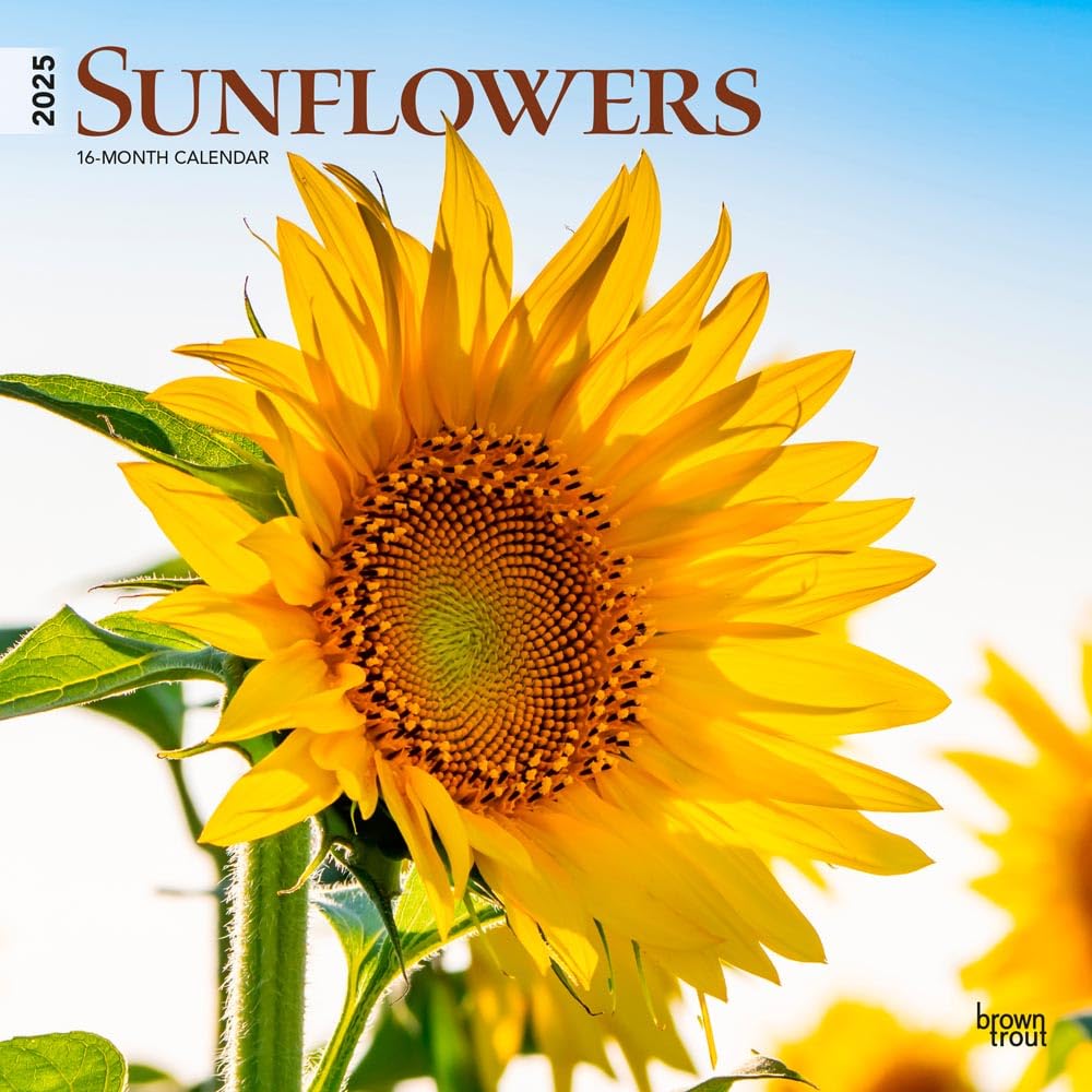 Snapklik.com : Sunflowers 2025 12 X 24 Inch Monthly Square Wall ...