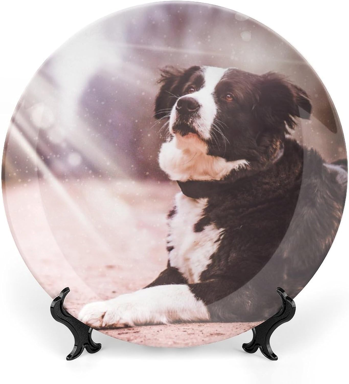 Amazon.com: Dog Animal Wildlife Decorative Plate for Kitchen Accent ...