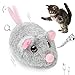 Pawsayes Cat Toys Squeaky Rechargeable Moving Mouse with Dynamic Magic ...