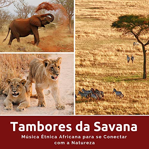 Play Tambores da Savana - Música Étnica Africana para se Conectar com a ...