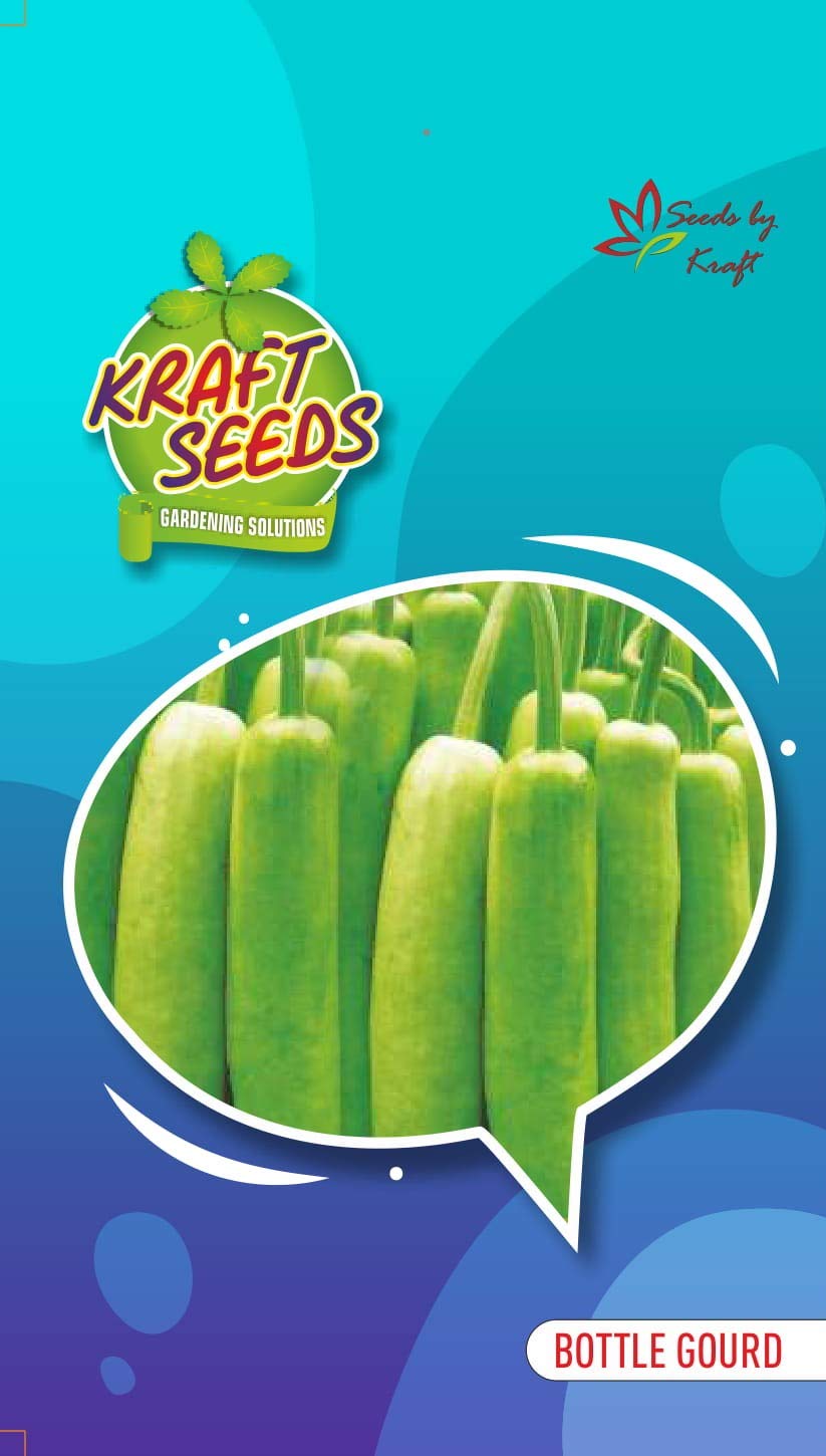 Kraft Seeds Angan DIY Series Seed Growing Box Of Bottle Gourd/Lauki ...