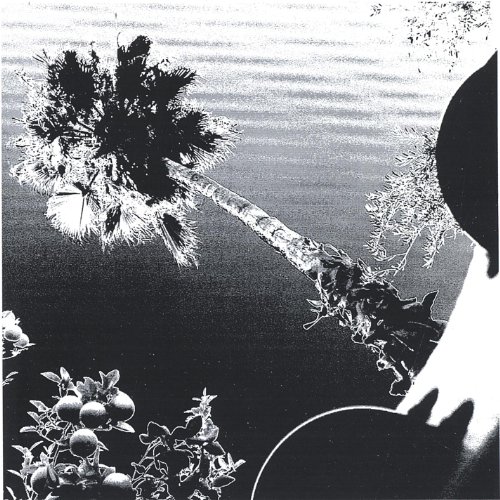 Amazon.com: Say Nothing : The Sayers: Digital Music