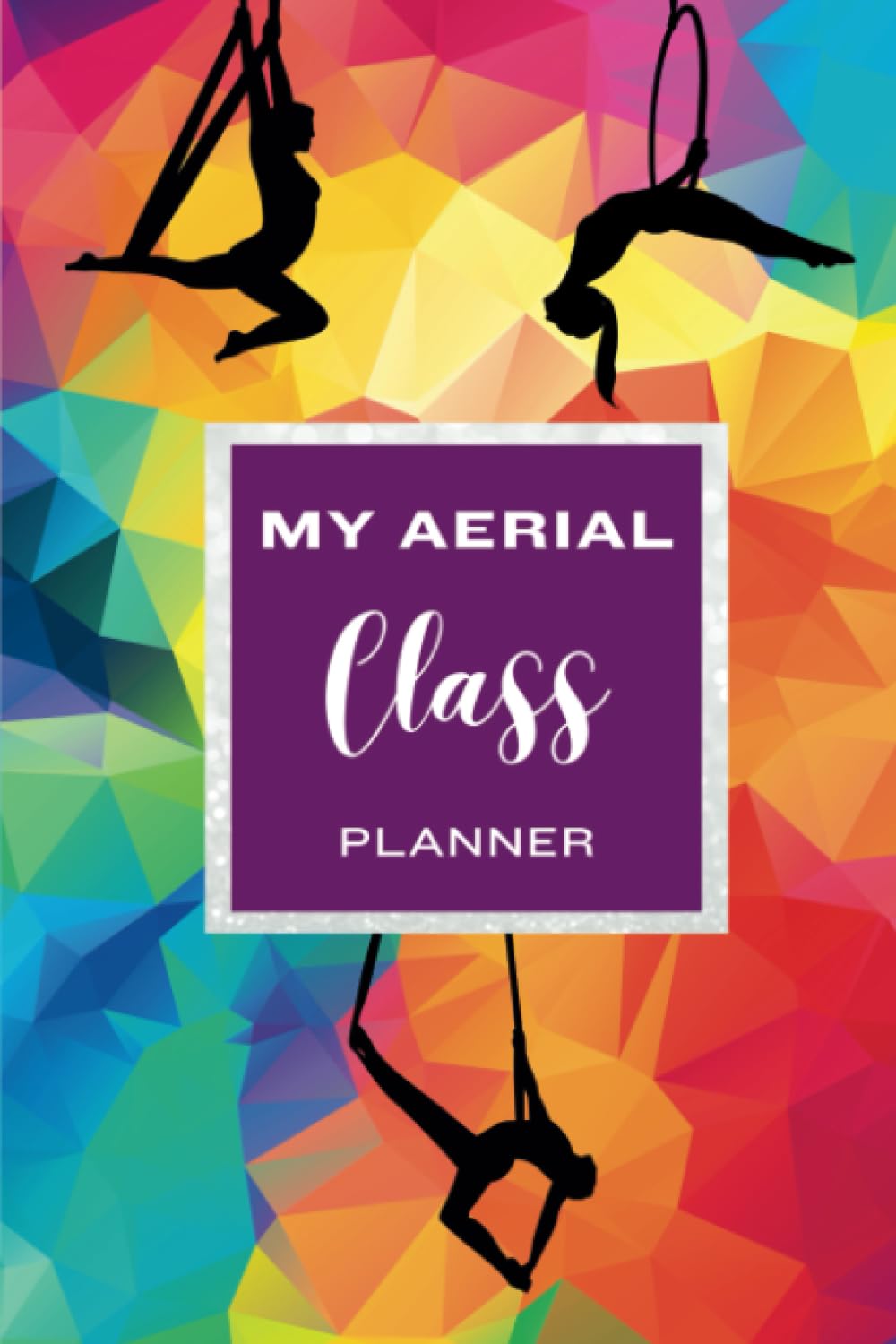 My Aerial Class Planner: Toguchi, Kristi: 9781953793270: Amazon.com: Books