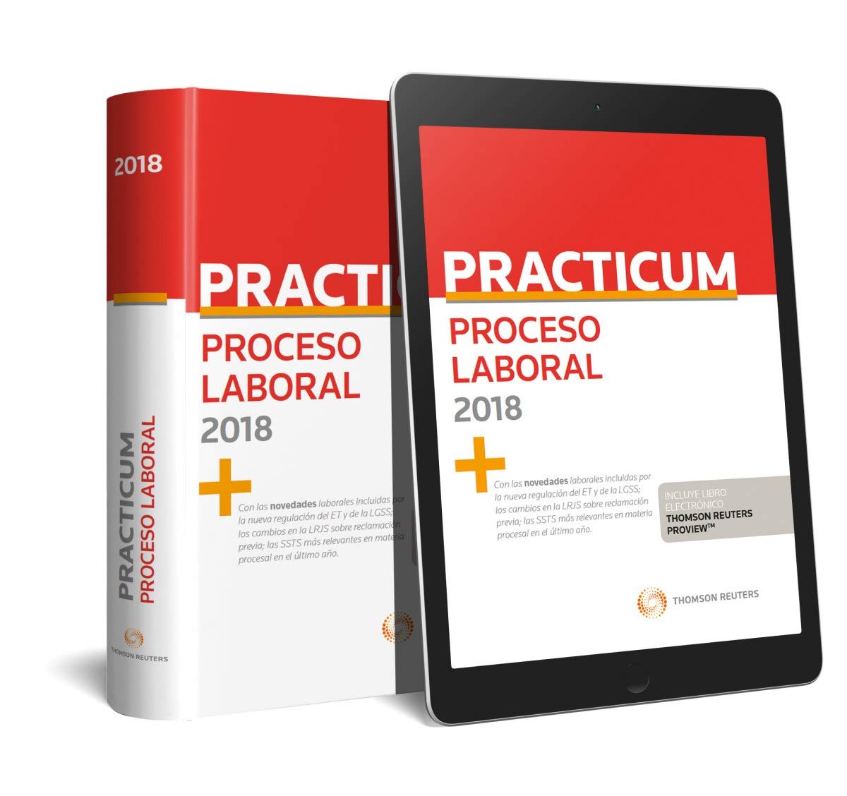 Practicum Proceso Laboral 2018 (Papel + e-book) : Amazon.com.mx: Libros