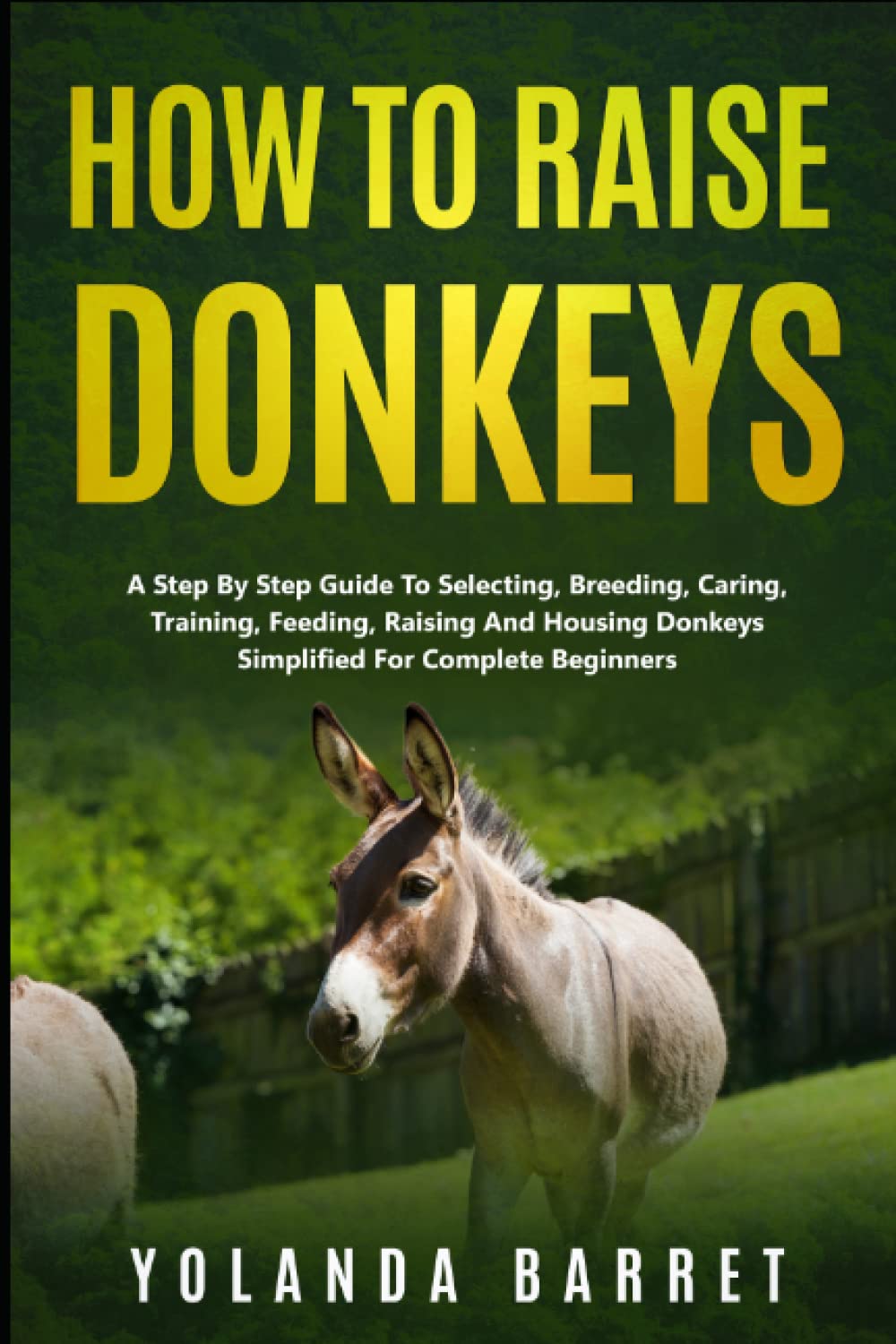 How To Raise Donkeys: A Step-by-Step Guide to Selecting, Breeding ...