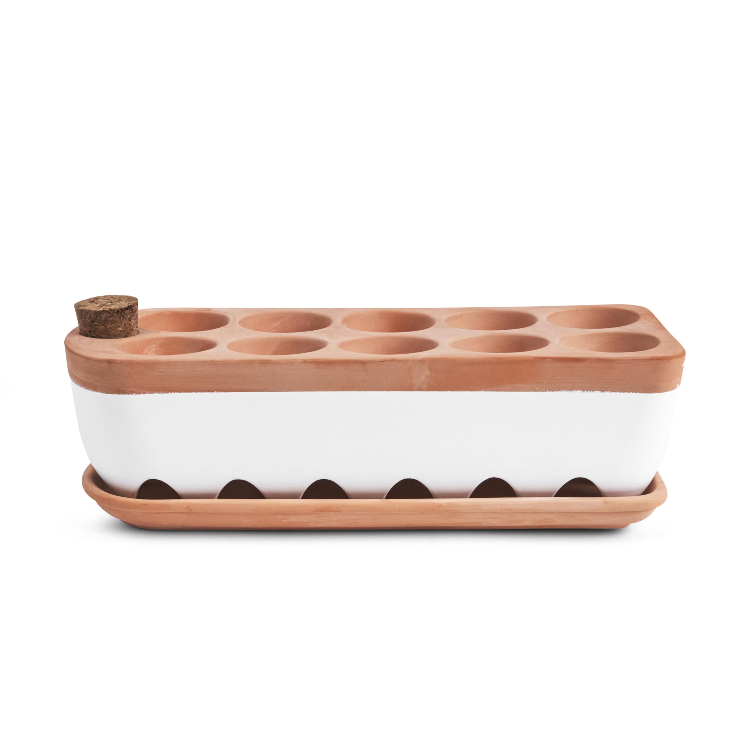 Amazon.com : Lawnifi Terracotta Seed Starting Tray with 10 Cells and ...