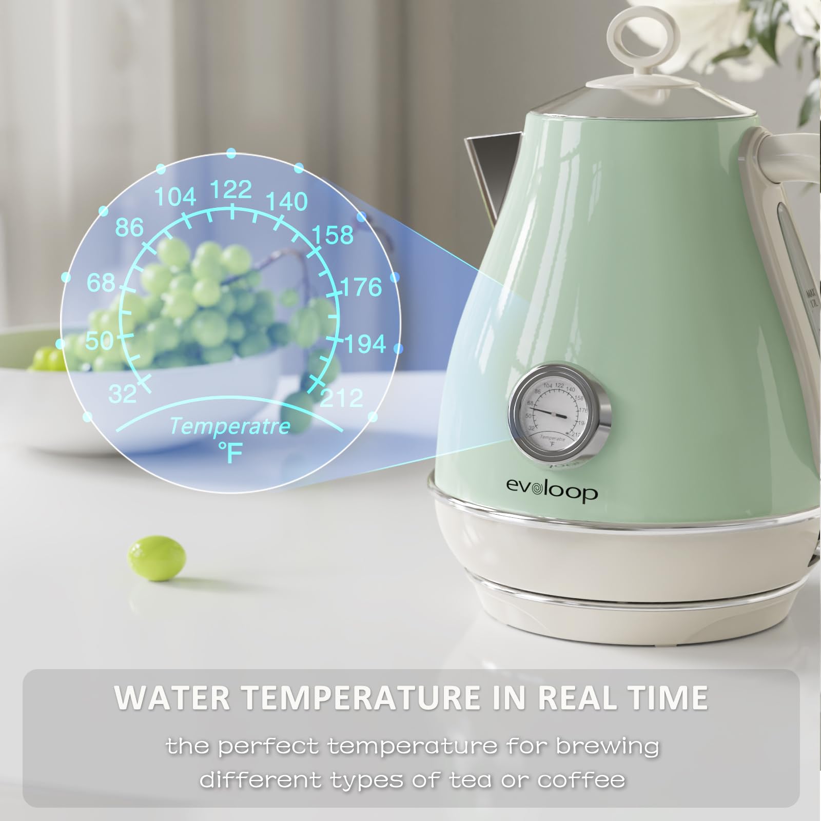 Snapklik.com : Evoloop Electric Tea Kettle, 1500W /1.7 Liter Hot Water ...