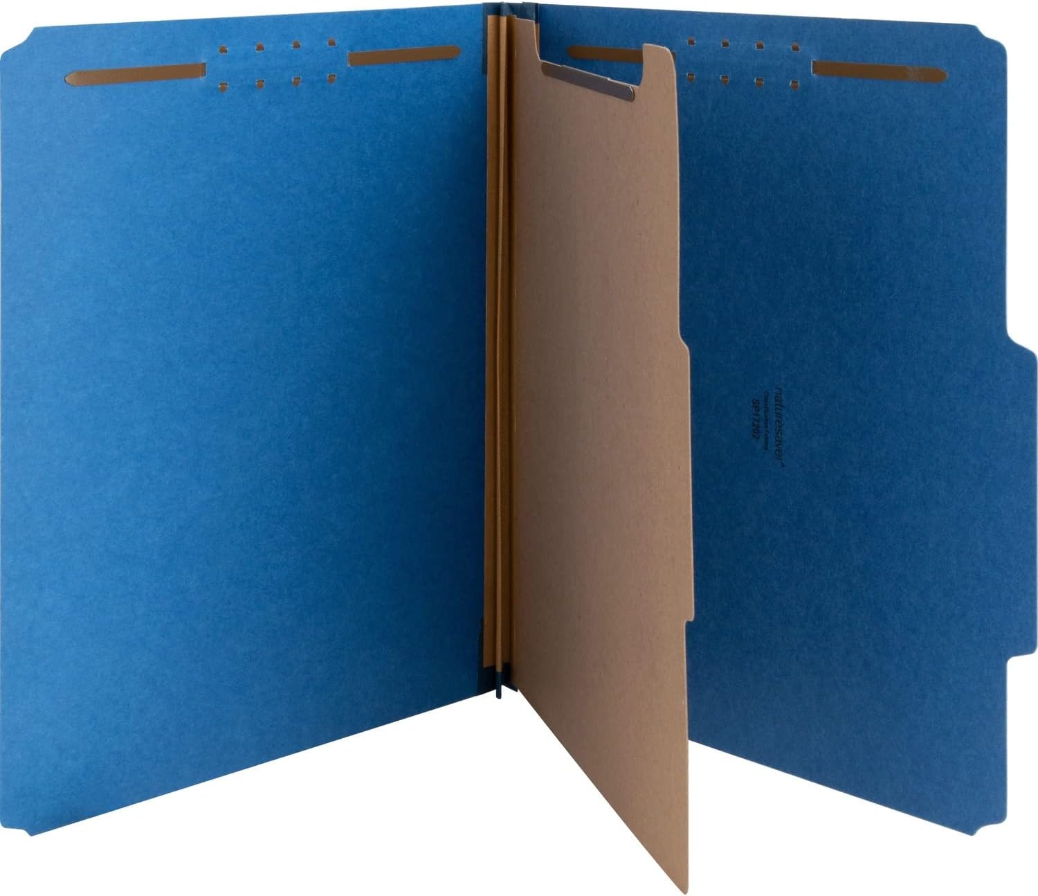 Amazon.com : Nature Saver SP17202 Classification Folders, 2-Inch Exp,1 ...