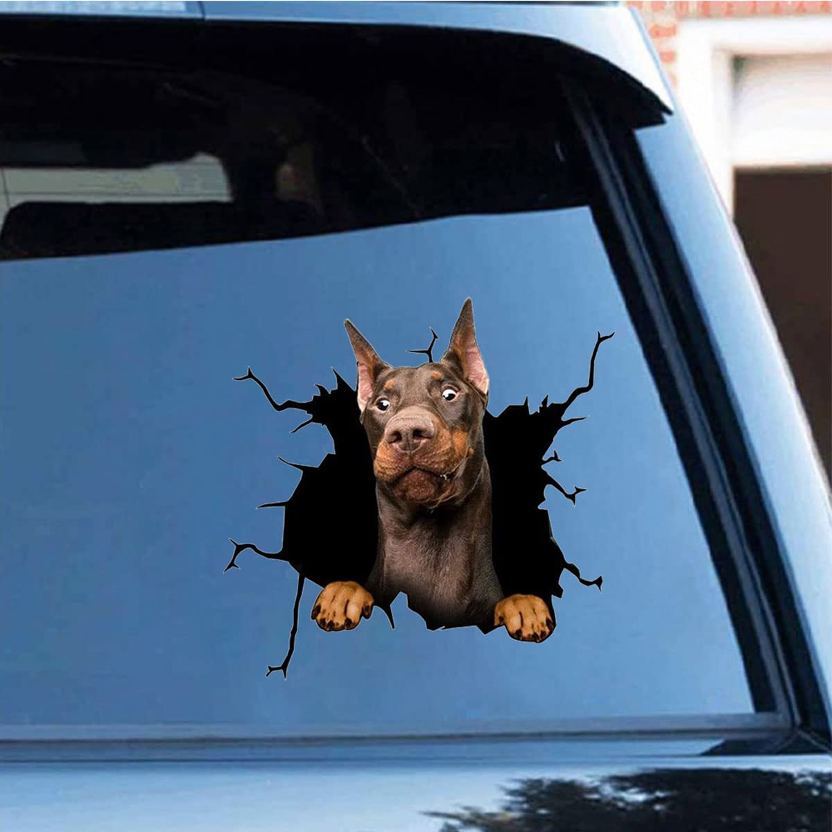 Amazon.com - Zpahq Doberman Car Cracking Sticker,11.8 x11.8in 3D Vinyl ...