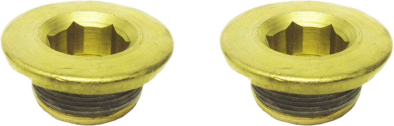 Amazon.com: GM Engine Brass LS Expansion Plug 12561663 Pack of 2 ...