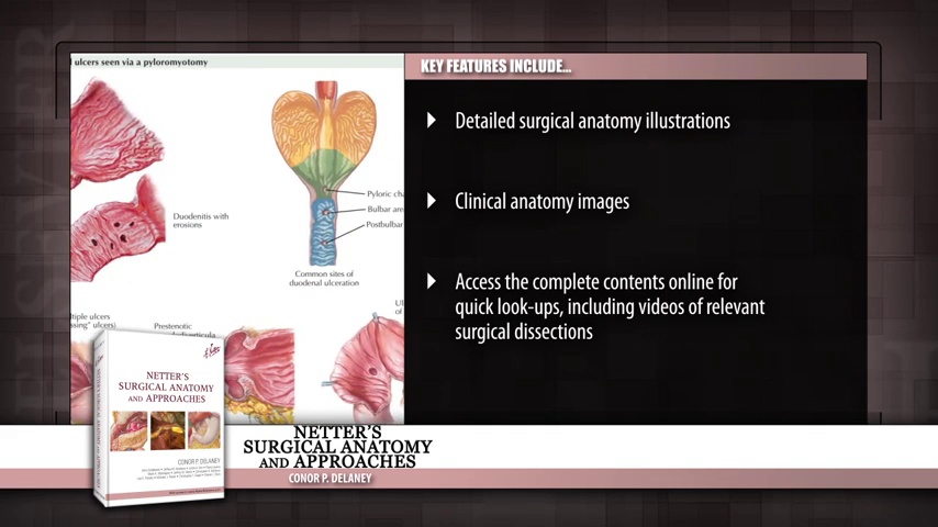Watch Netter＇s Surgical Anatomy and Approaches, 1e ﹙Netter Clinical ...