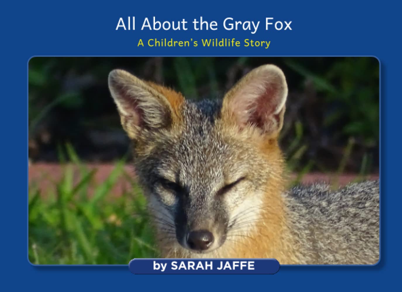 All About the Gray Fox: A Children's Wildlife Story: Jaffe, Sarah, Wild ...