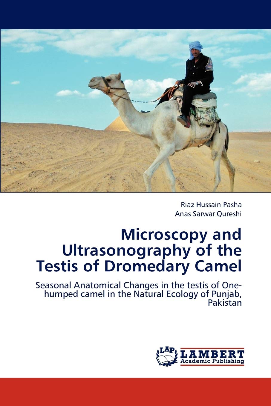 Buy Microscopy and Ultrasonography of the Testis of Dromedary Camel ...